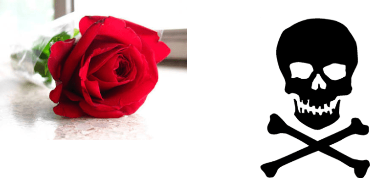 Teaching…Denotations and Connotations – The English Classroom