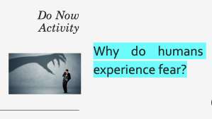 Do Now Activity! – The English Classroom